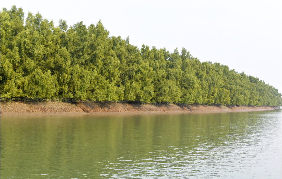 Rupantor Eco Tourism